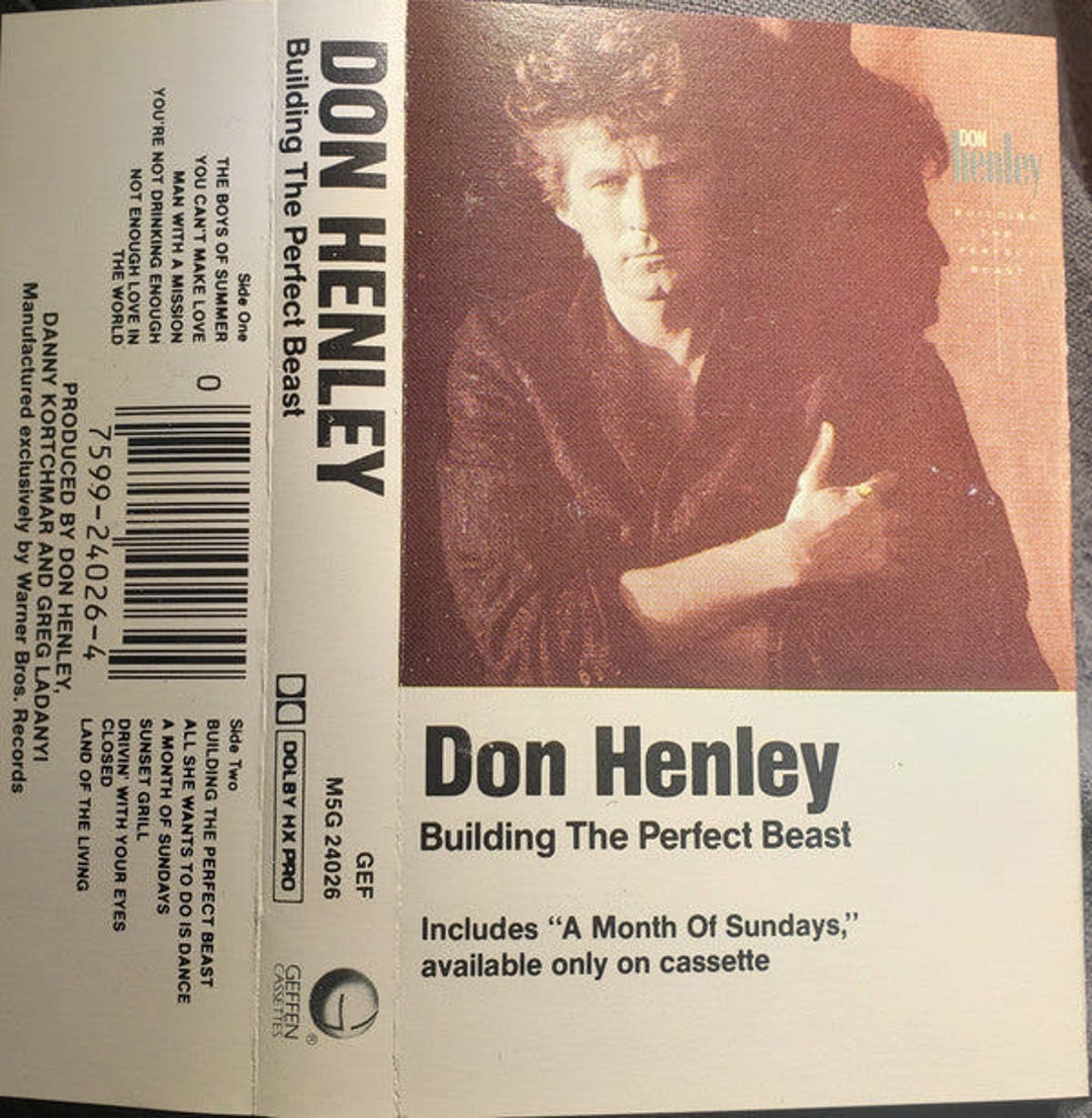 Don Henley Building the Perfect Beast cassette - Etsy