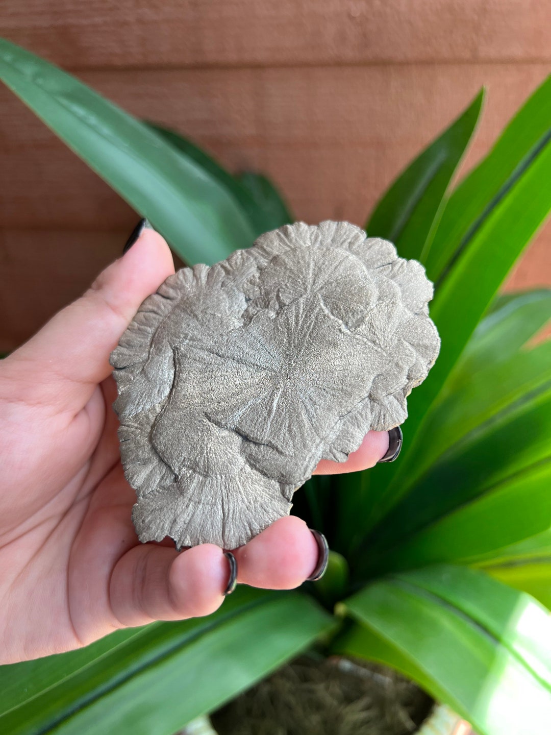 Natural Pyrite Sun // Pyrite Sun From Sparta Illinois // Gorgeous ...