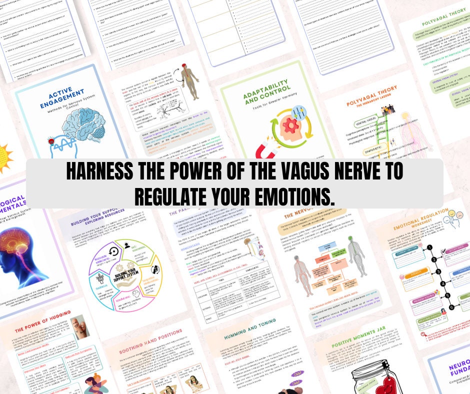Nervous System Regulation Workbook & Worksheet Bundle, Polyvagal Theory ...