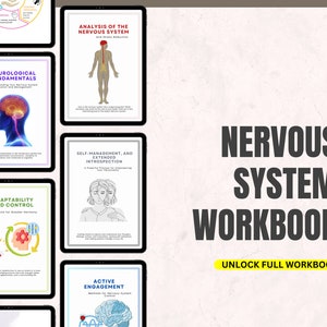 Nervous System Regulation Workbook & Worksheet Bundle, Polyvagal Theory ...