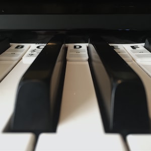 The Piano Rake (piano Guide) | Learn Notes Instantly | Ultimate ...