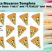 Seashell Macaron Template - Etsy