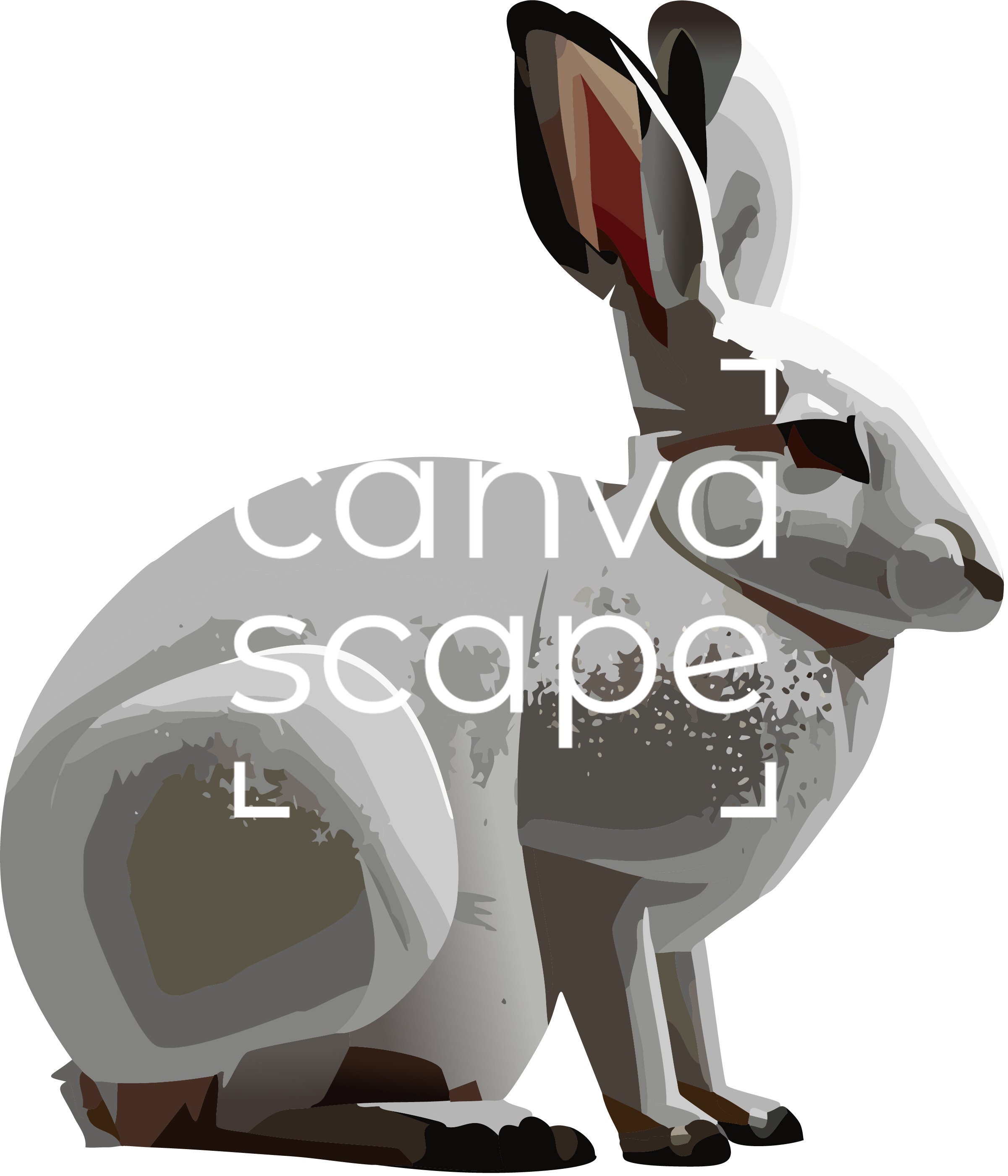 Animals Clipart, Arctic Animals, Digital Paper Craft, Silhouette ...