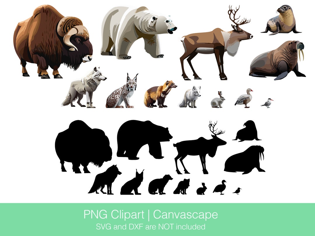 Animals Clipart, Arctic Animals, Digital Paper Craft, Silhouette ...