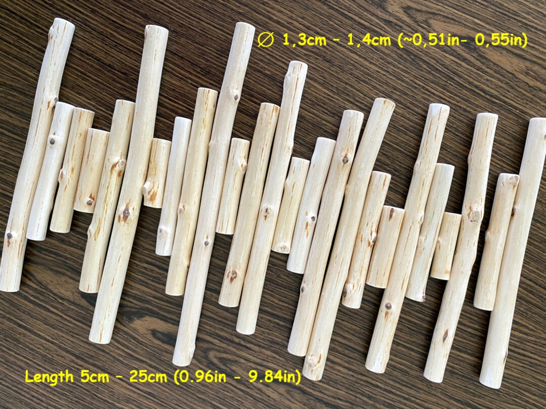 Thin Diameter Natural Wood Dowels Different Lengths Natural Piece of ...