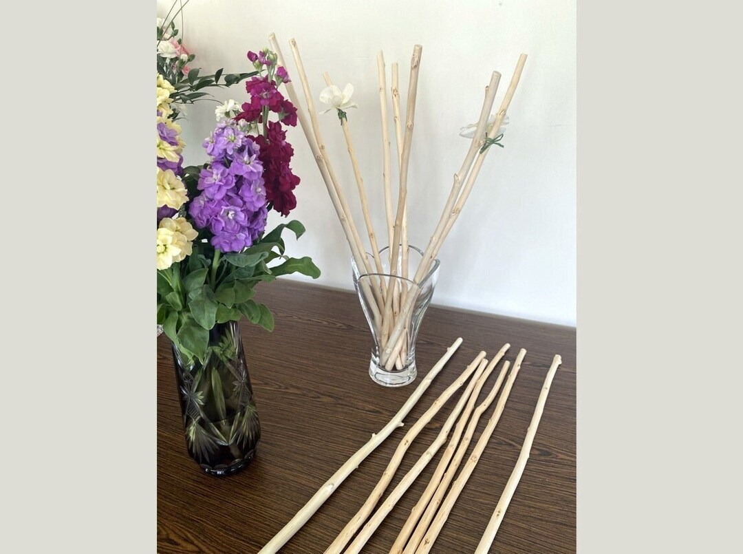 Set of Thin Debarked Birch Wood Sticks: Craft Projects & Decoration - Etsy