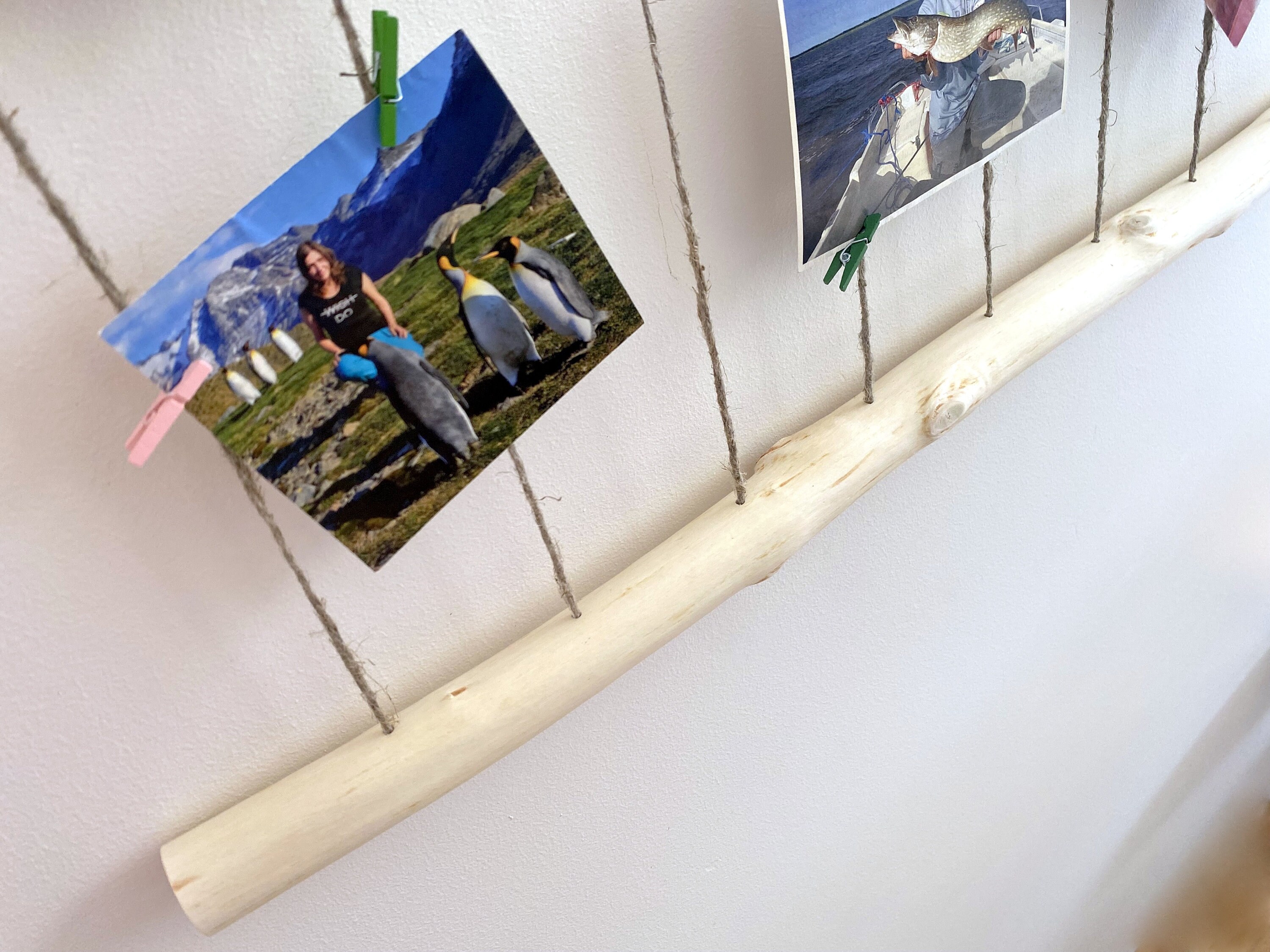 Large Twine Photo Display: Birch Wood Frame With Mini Pegs - Etsy
