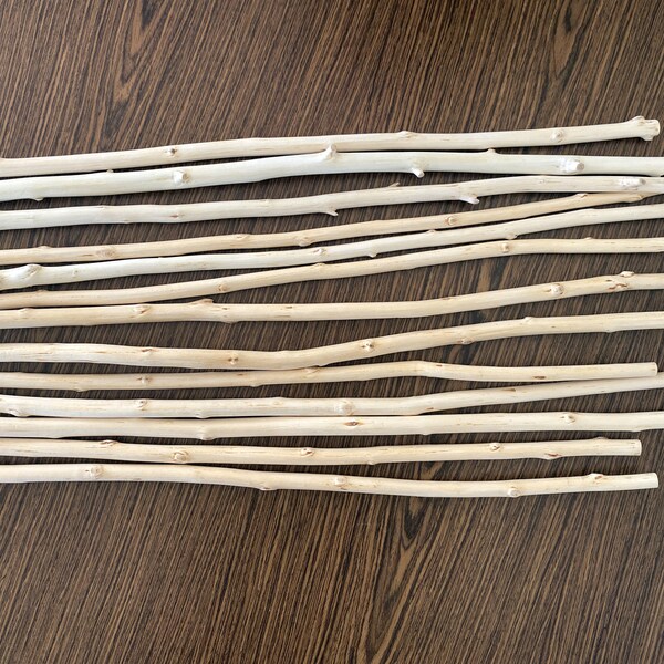 Long Birch Twigs - Etsy