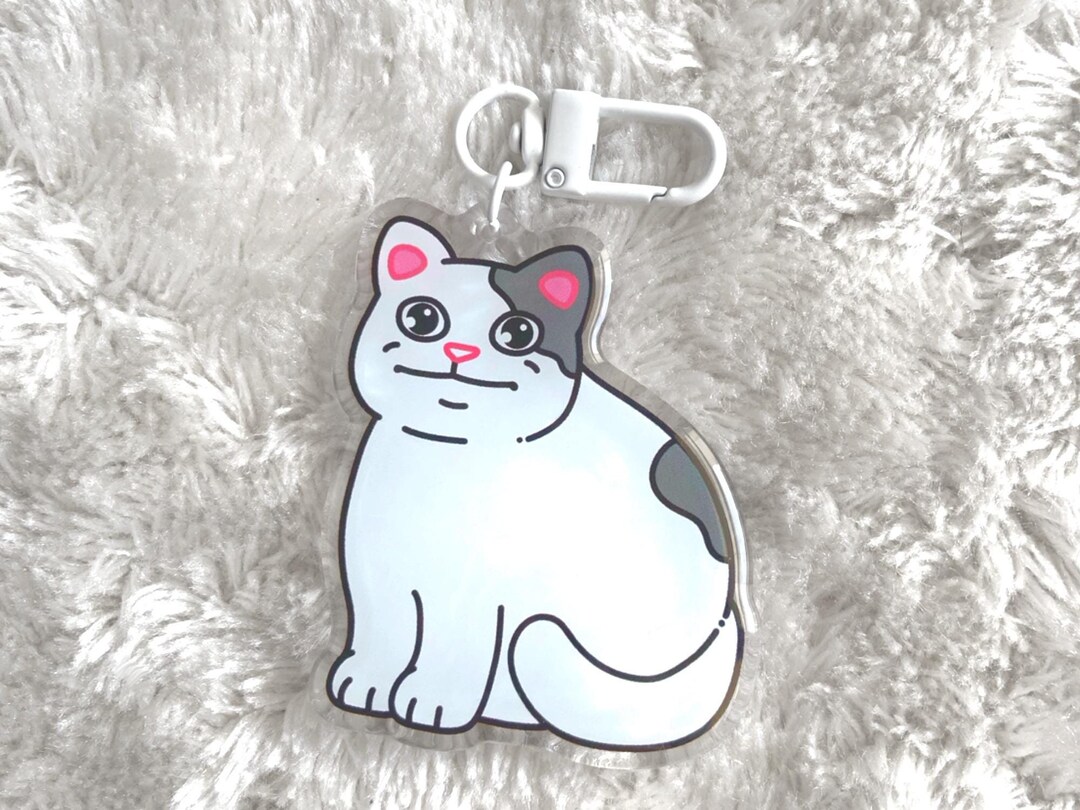 Funny Cat Meme Keychain Kawaii Keyring Cute Funny Gift Kitty ...