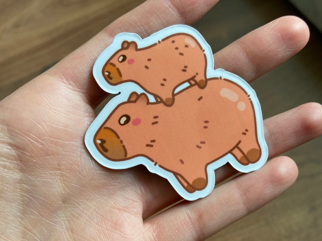 Capybara Magnet Kawaii Cute Magnet Kawaii Aesthetic Kitchen Deco Magnet ...
