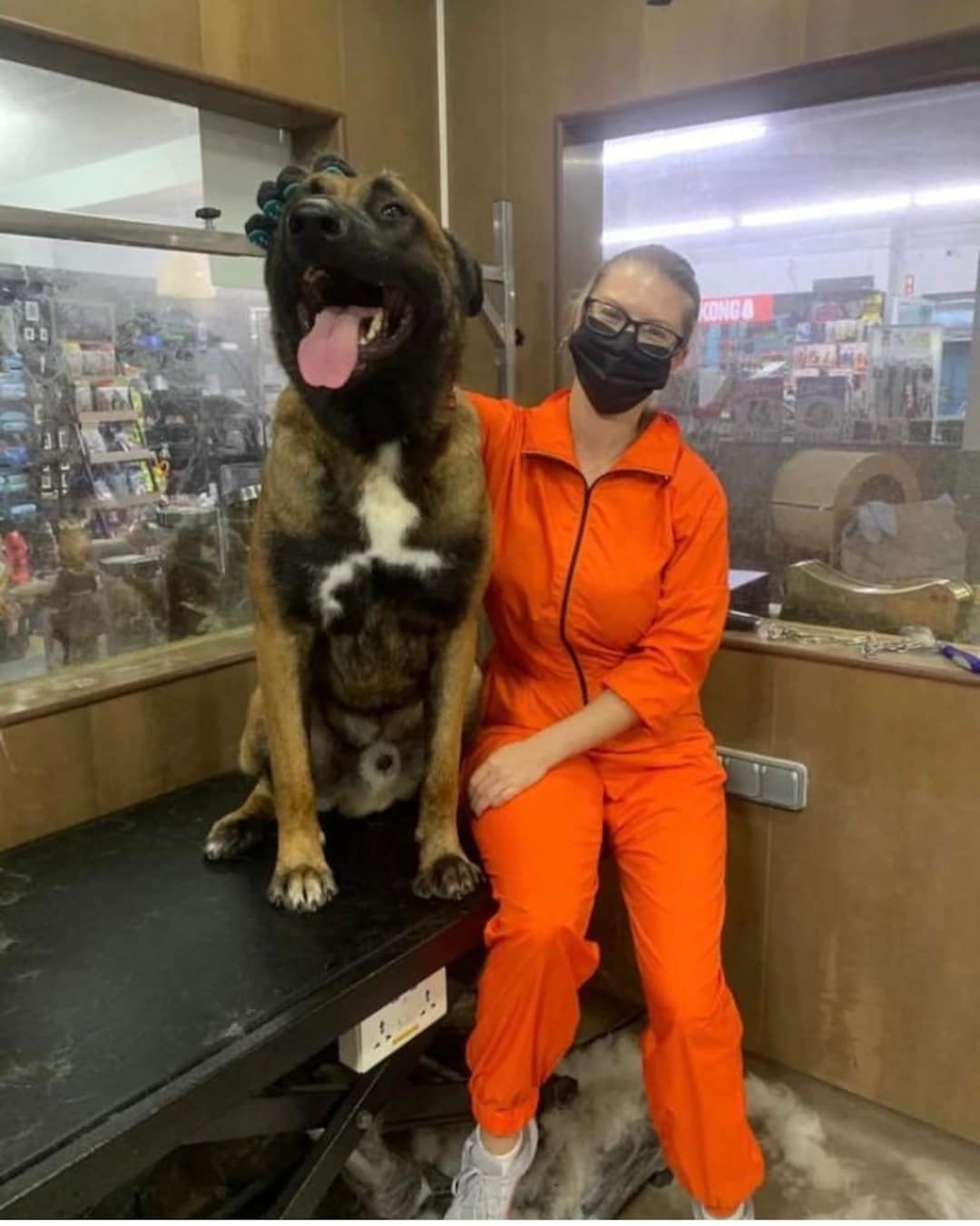 Women's Casual Groomer Overalls Staff Uniform Grooming Clothes - Etsy