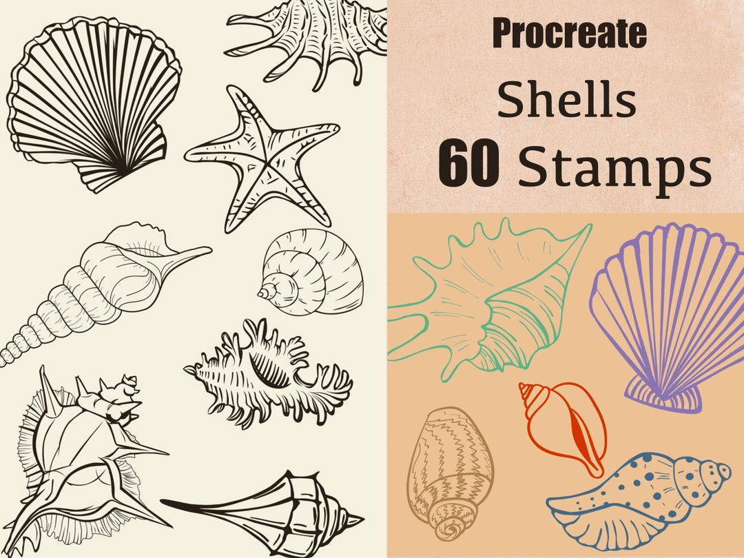 60 Procreate Shells Stamps, Procreate Sea Creature Brushes, Procreate Shells Tattoo, Procreate ...