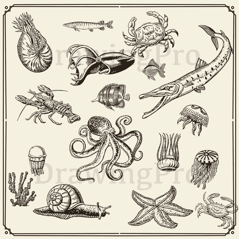 60 Procreate Sea Creatures Stamps Procreate Fish Stamps - Etsy