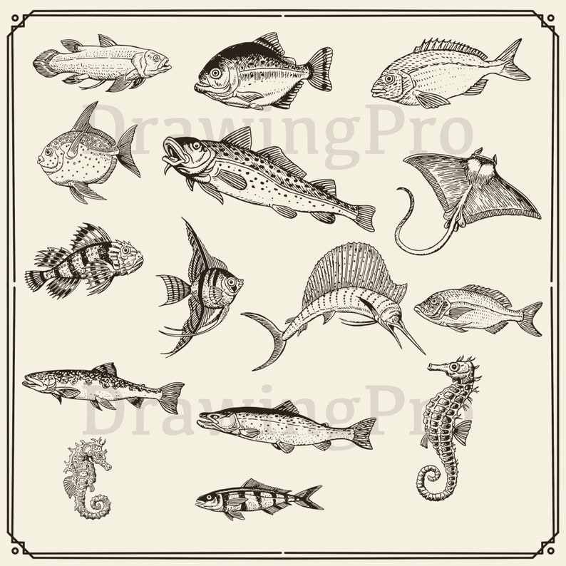 60 Procreate Sea Creatures Stamps Procreate Fish Stamps - Etsy