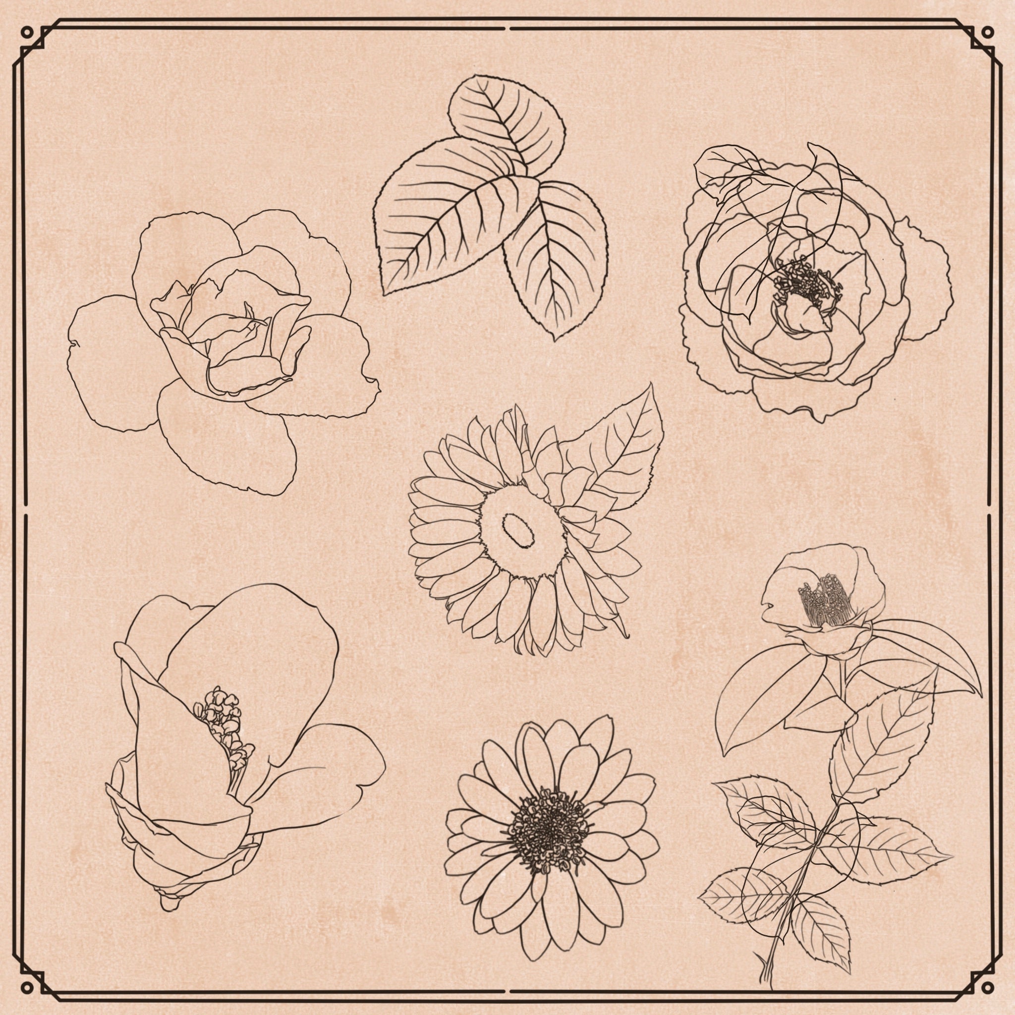 Procreate Flowers Stamps, Procreate Brushes, Procreate Floral Pack ...