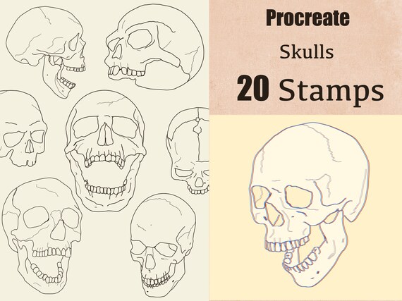 20 Procreate Skulls Brushes Stencil Tattoo Procreate Skulls | Etsy