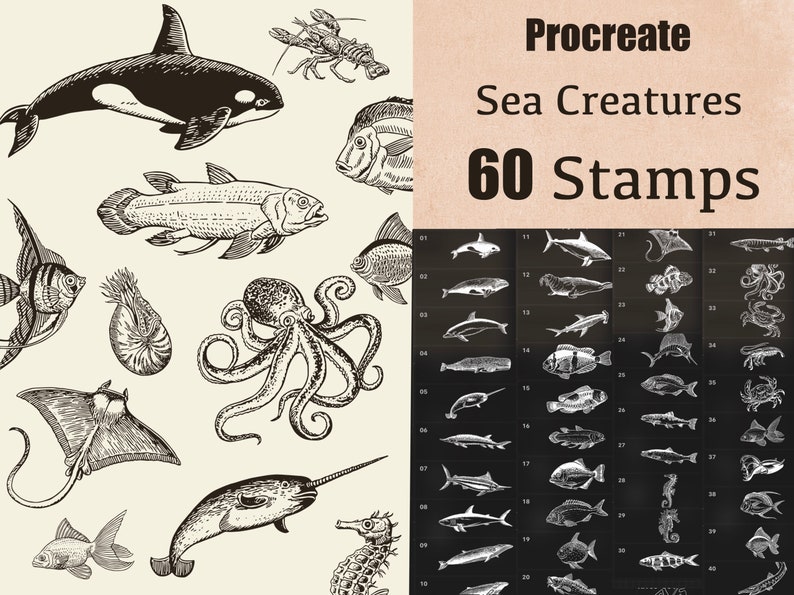 60 Procreate Sea Creatures Stamps Procreate Fish Stamps - Etsy