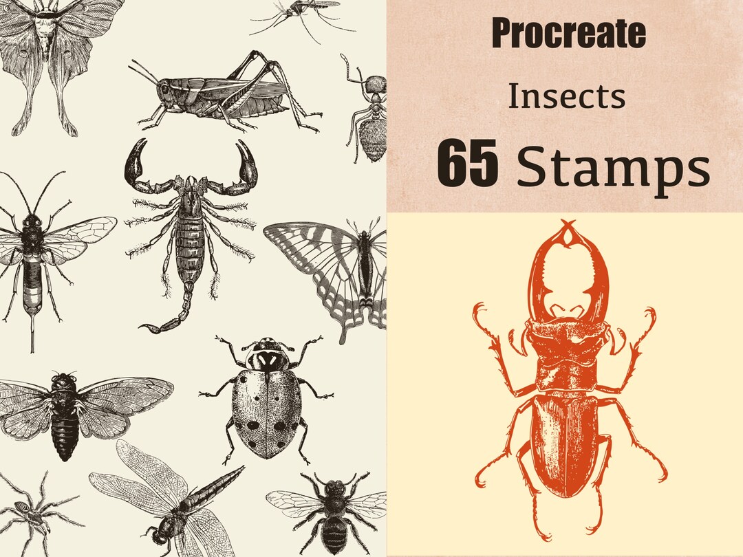 65 Insects Stamps for Procreate, Tattooers Must Have, Procreate Tattoo ...
