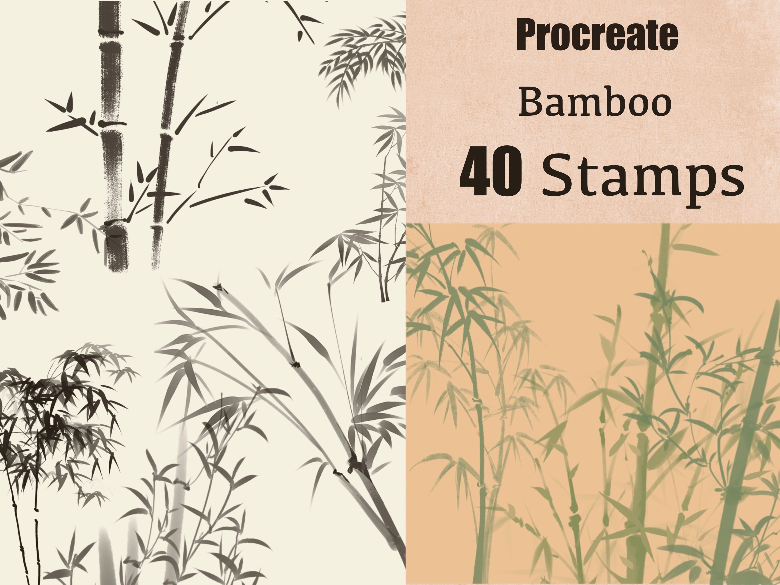 40 Procreate Bamboo Stamps , Botanical Stamps Procreate, Procreate ...