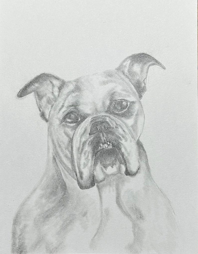 Personalized Pet Sketch, Custom Animal Drawing, Dog Portrait From Photo ...
