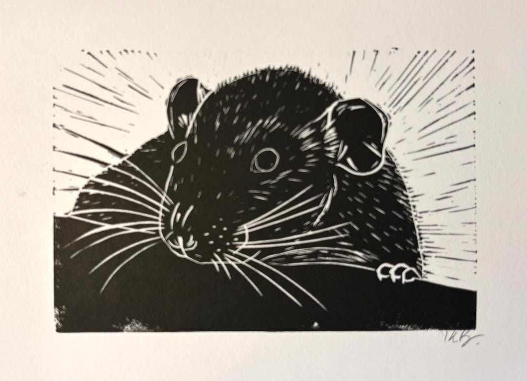 Fancy Rat, Original Lino Print, Greeting Card - Etsy