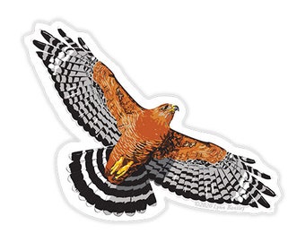 Red Tailed Hawk Vinyl Weather Proof Sticker Decal - Etsy