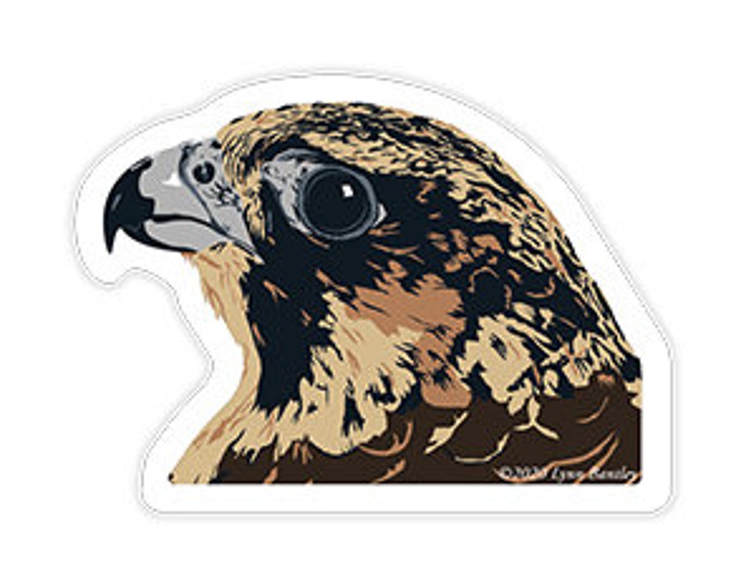 Peregrine Falcon Sticker - Etsy