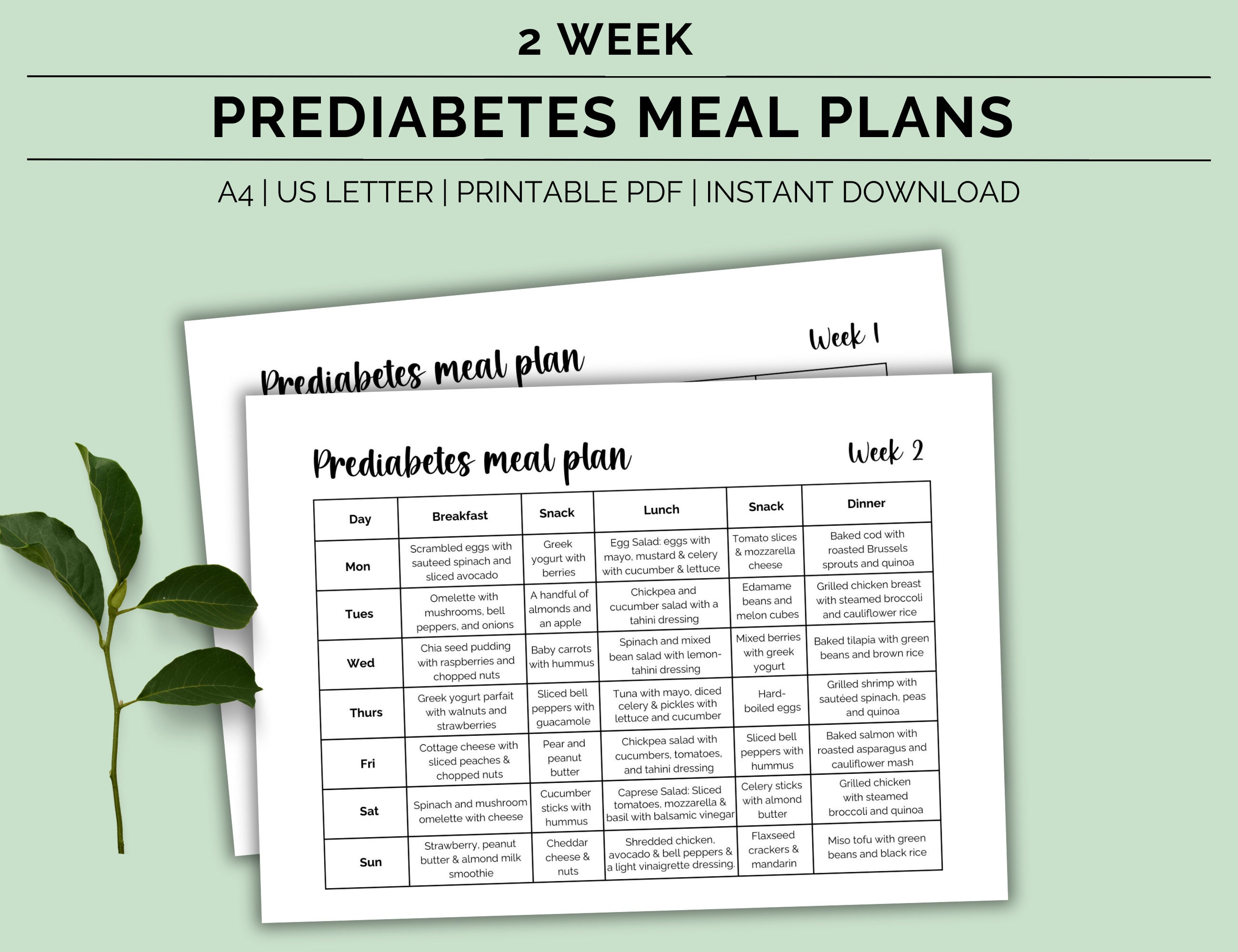 Prediabetes Meal Plan, Pre Diabetes Diet Plan, Diabetic Meal Snack ...