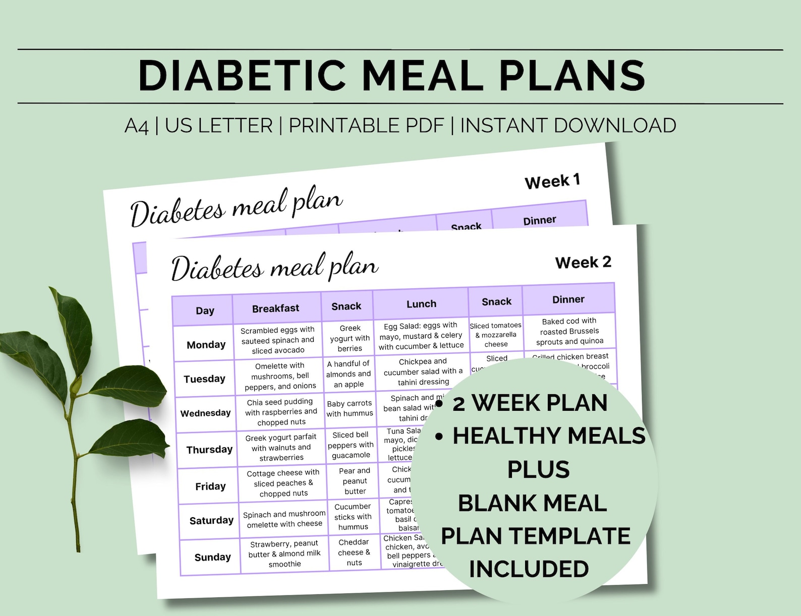 Printable Diabetic Meal Plan, Diabetic Diet Plan, Diabetic Food Chart ...