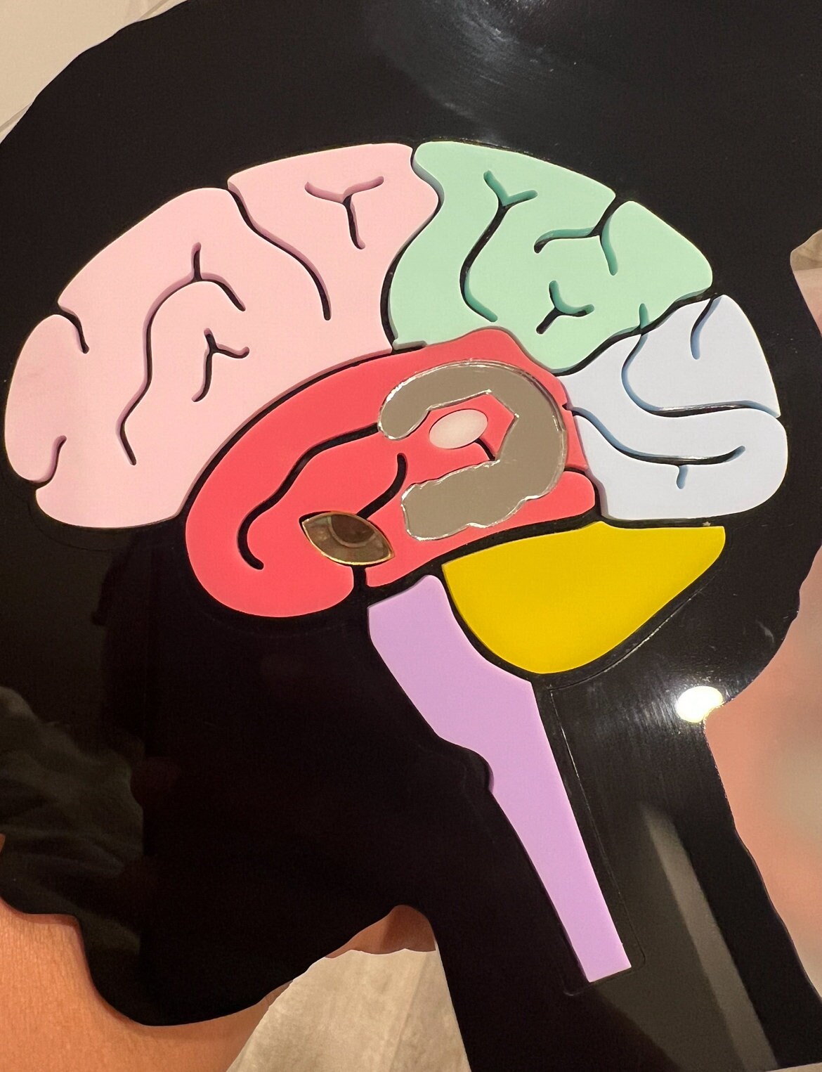 Black Girl With Afro Puffs Brain Functions Sign, Customize, Parts of ...