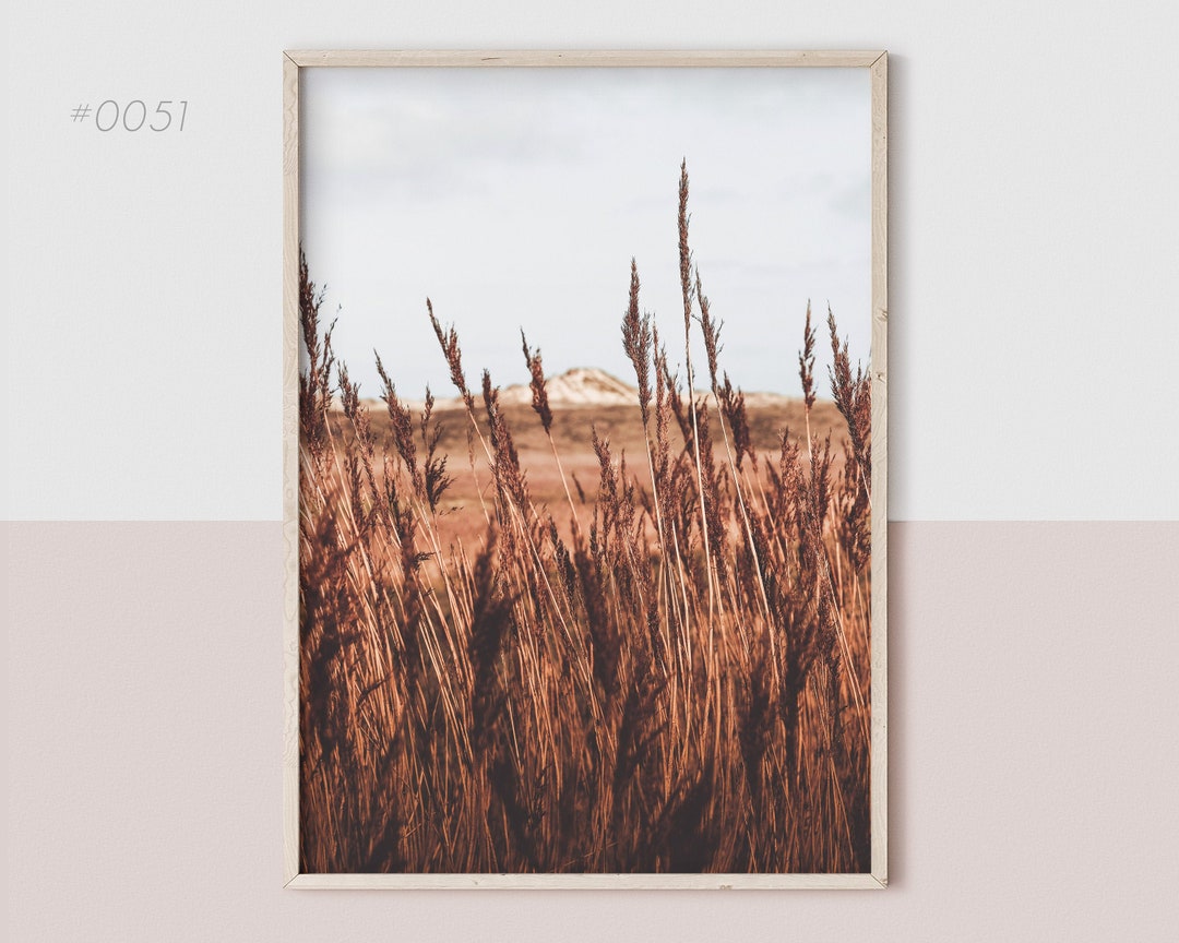 Printable Pampas Grass Photo, Neutral Boho Wall Art, Modern Farmhouse ...