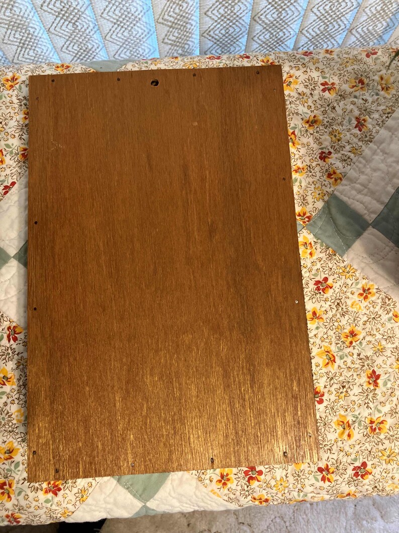 Julio G Meza Shell Art Shadow Box - Etsy