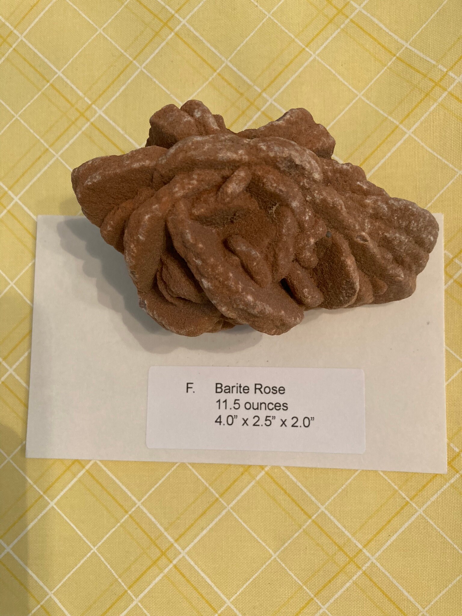 Six Barite Roses - Etsy