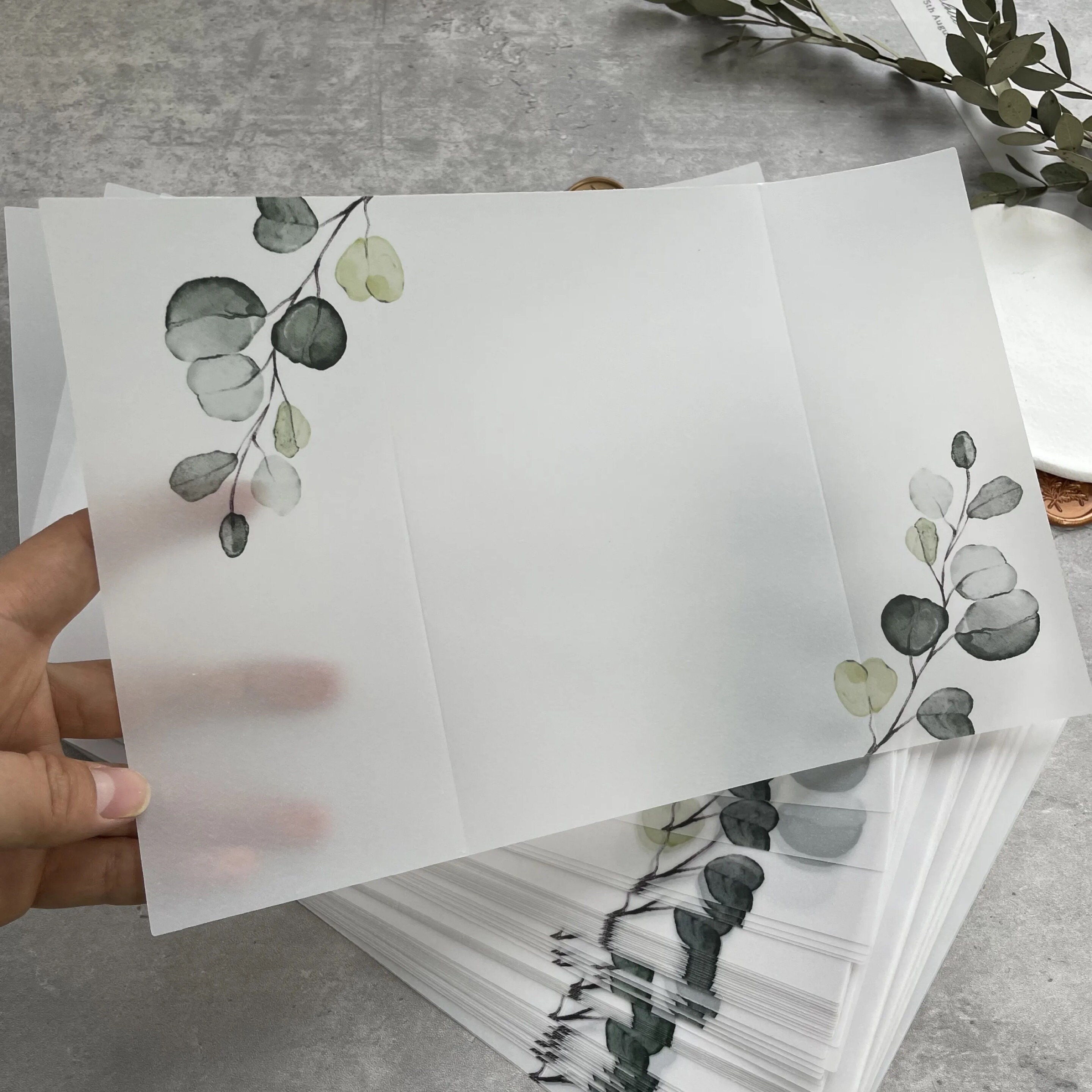 Pre-folded Vellum Jacket 5x7 | Wedding Invitations | Eucalyptus Printed ...