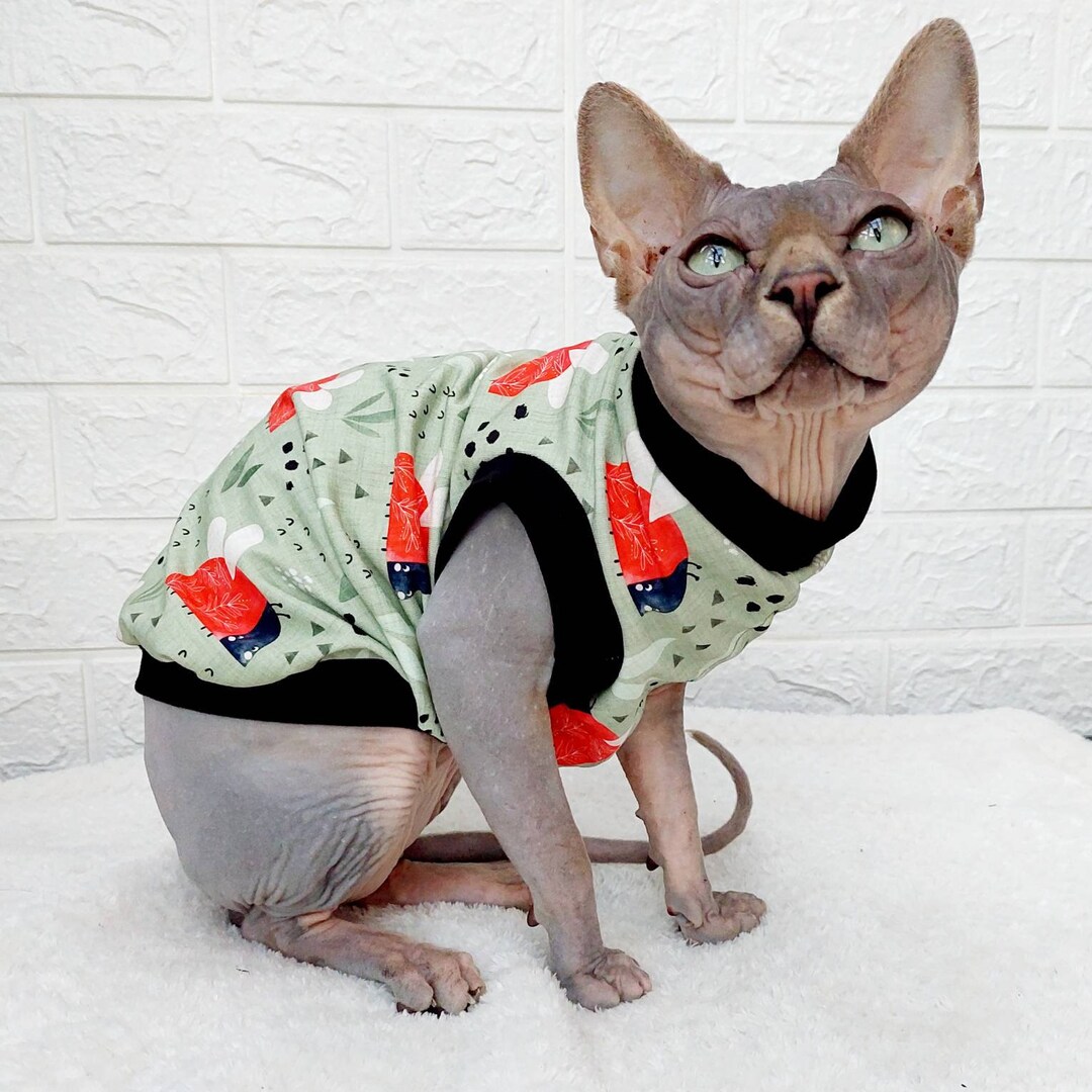 Sphynx Cat Top Tshirt Jersey Cat Clothes - Etsy