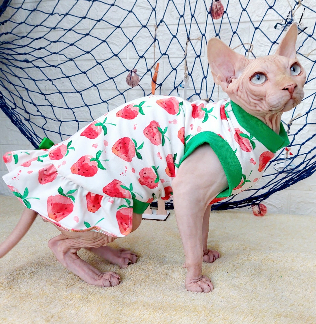 Sphynx Cat Dress Top Tshirt Jersey Cat Clothes - Etsy