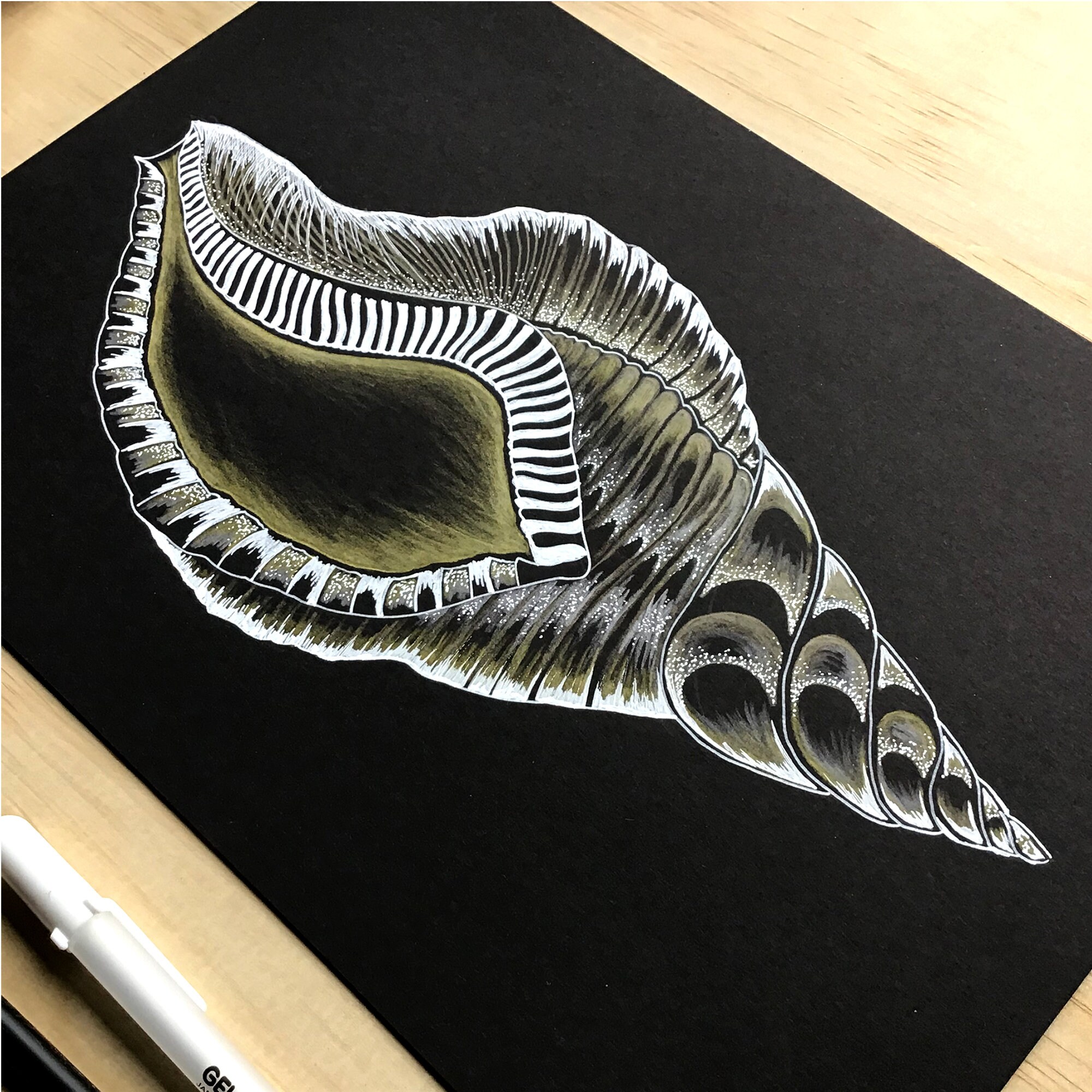 Shell Original Artwork Drawing Colored Pencils, 11x8in, Modern ...