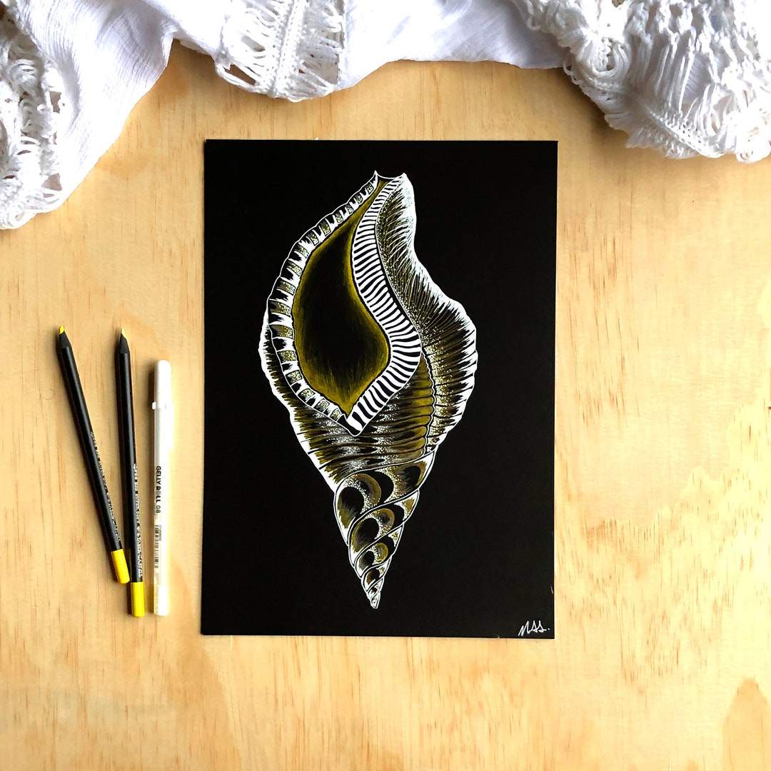 Shell Original Artwork Drawing Colored Pencils, 11x8in, Modern ...