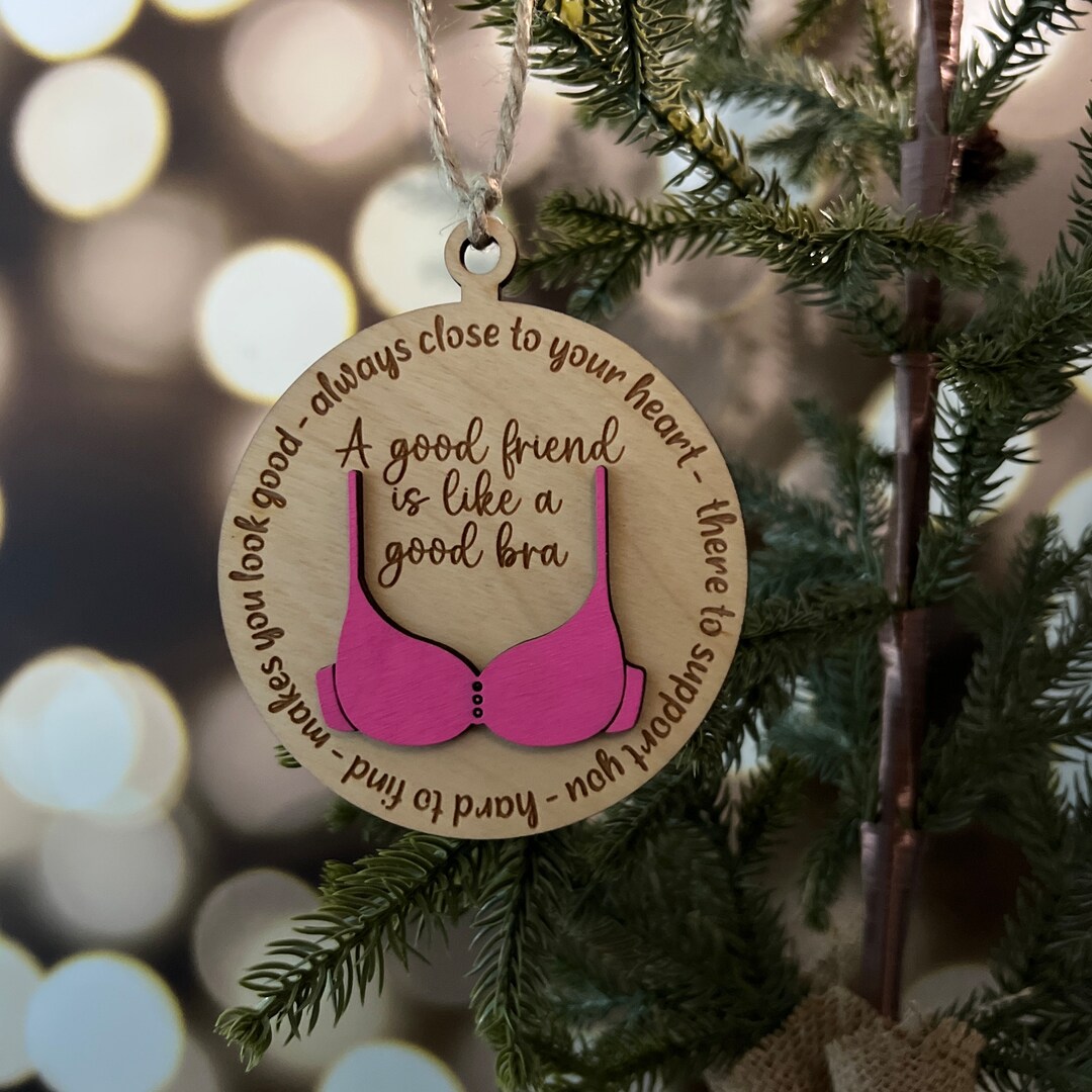 A Good Friend is Like A Good Bra Ornament, Bra Ornament, Friendship ...