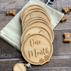 Dog Milestone Cards, Puppy, Dog, Pet Gift, Dog Lover Gift - Etsy
