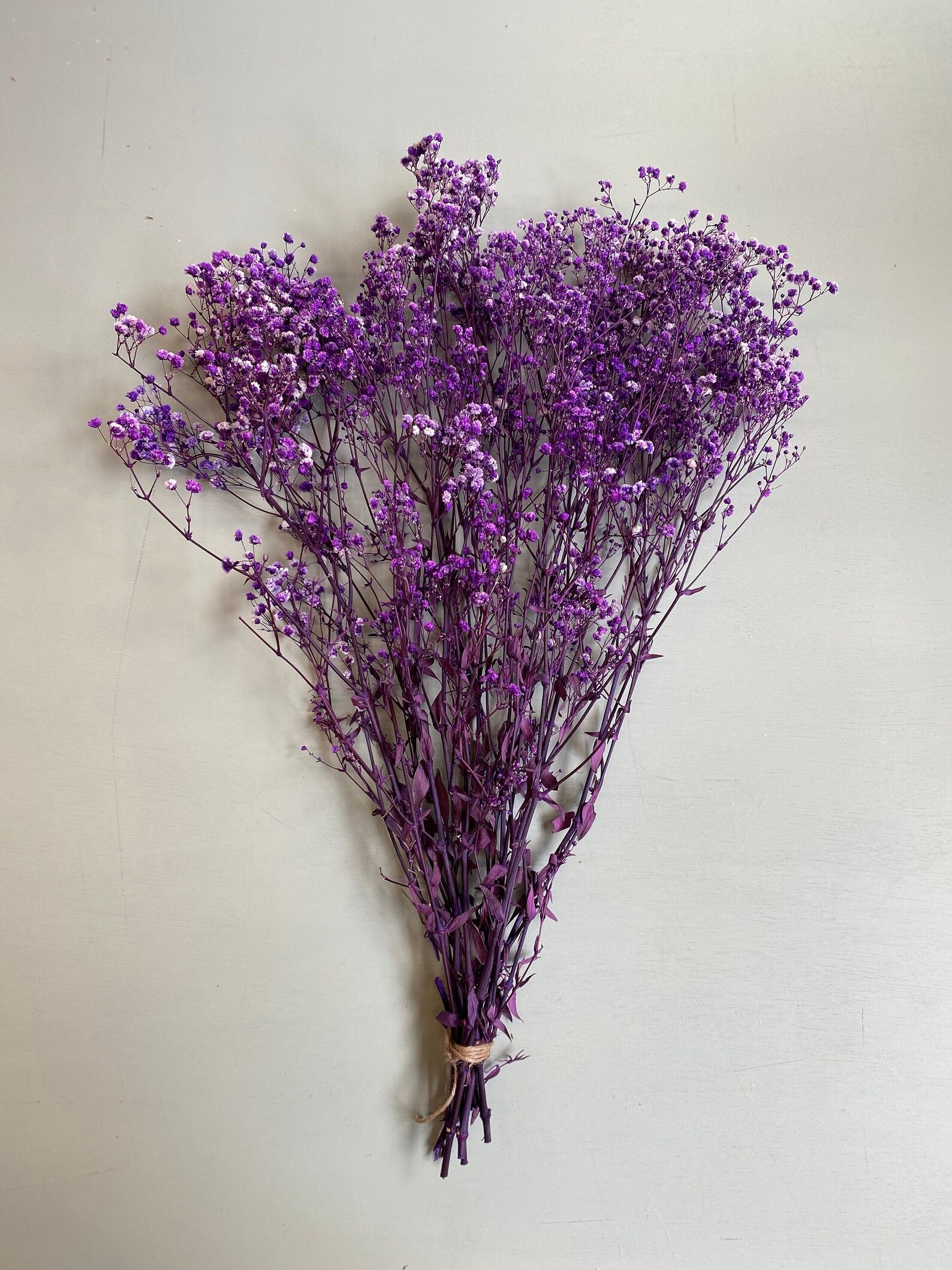 Preserved Purple Gypsophila | Etsy