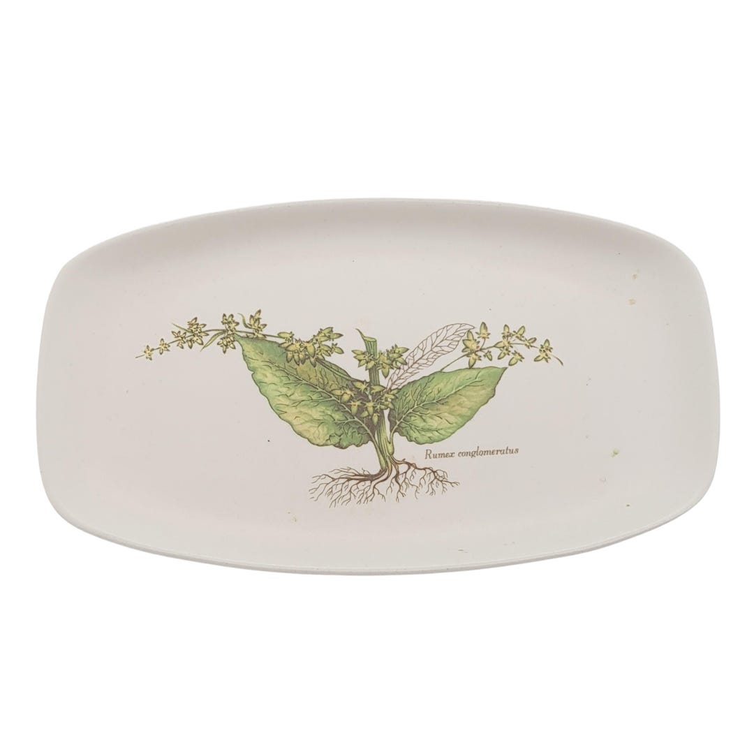Vintage Poole Pottery Country Lane Dish: Botanical Ceramic Tray, 1970s ...