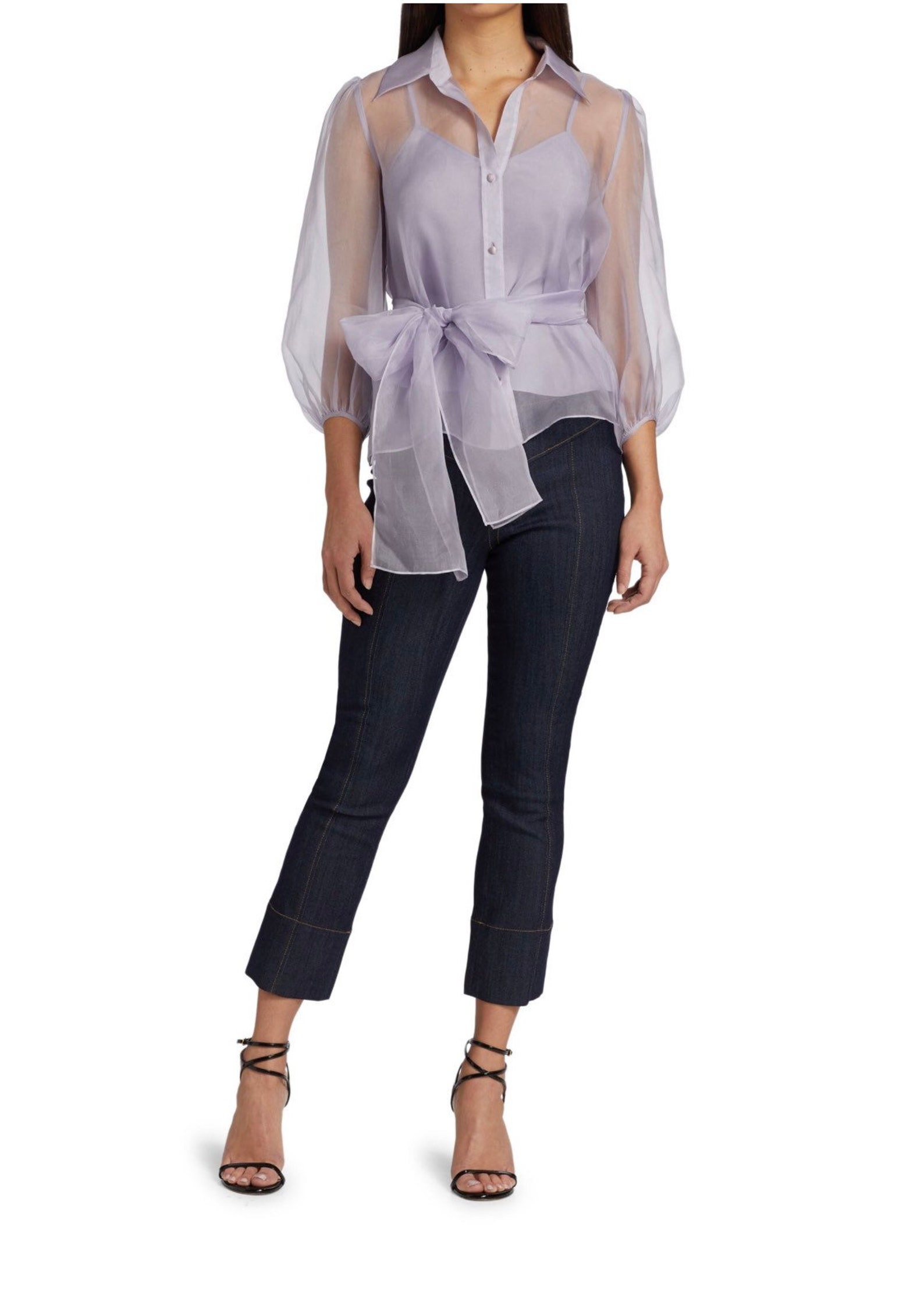 Elegant Long Sleeve Organza Blouse. Transparent Organza Stylish Girls ...