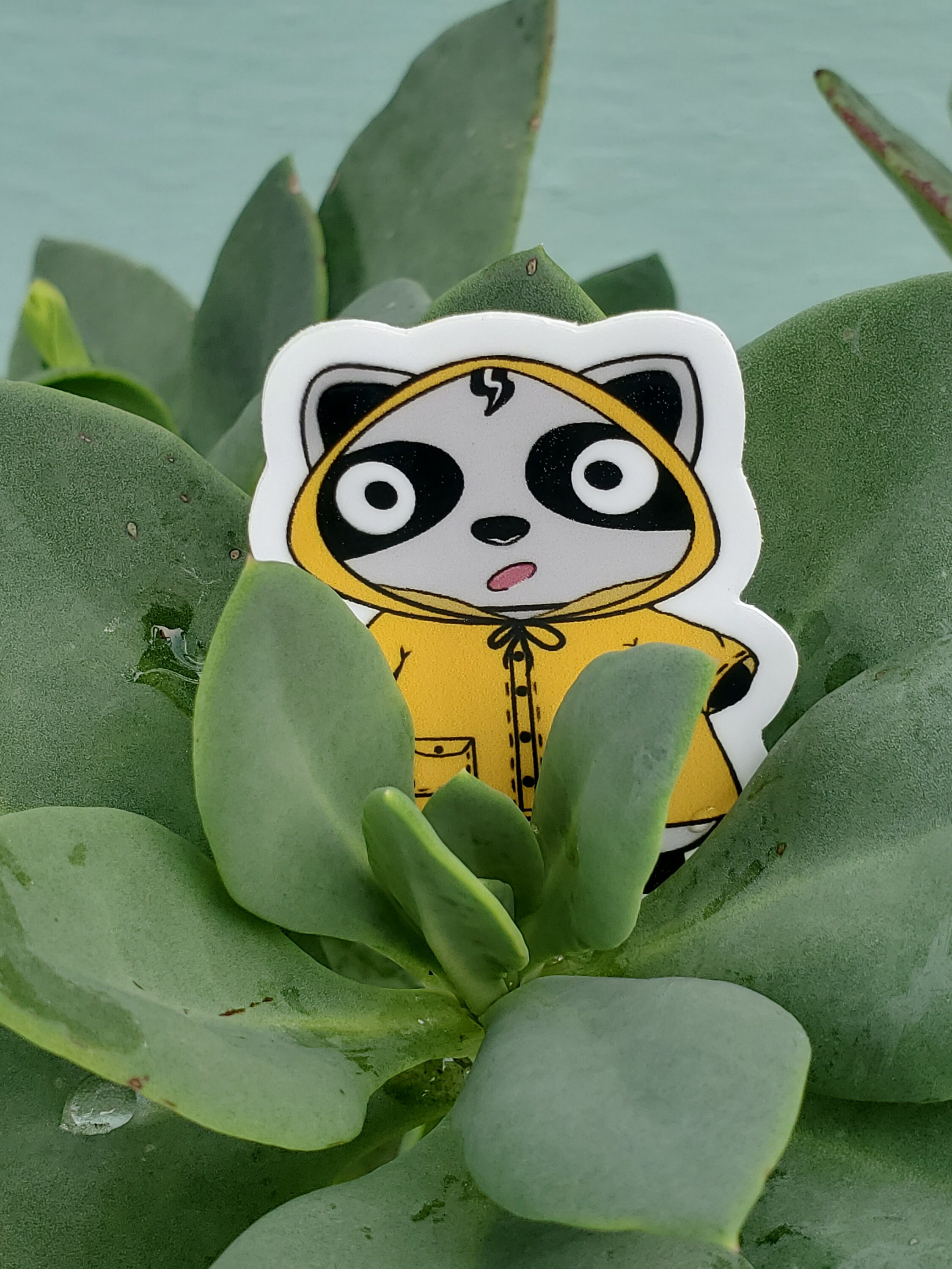 Lindo mapache en la etiqueta engomada del impermeable / etiqueta ...