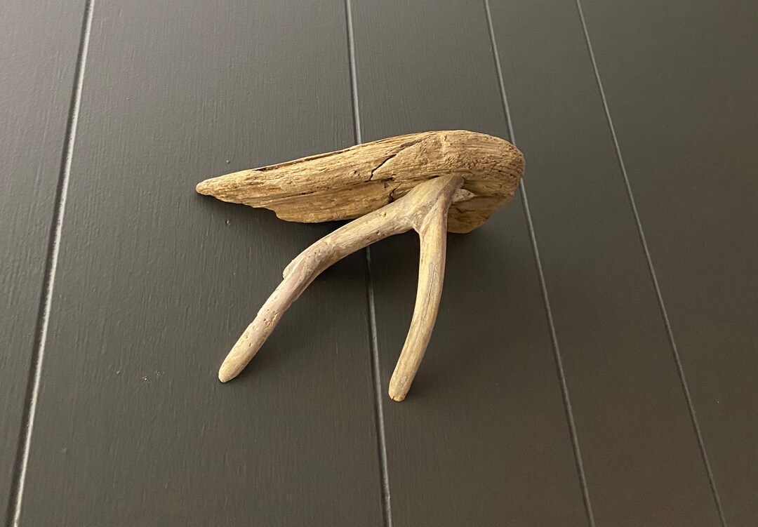 Small Handmade Driftwood Shelf Drift Wood Floating Shelves Beach Theme ...