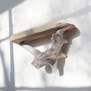 Thick Driftwood Floating Shelf Handmade Wood Beach Theme Wall Decor ...