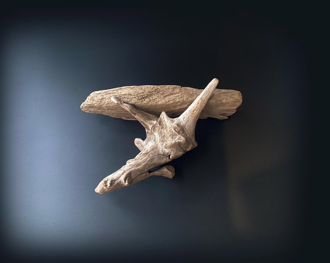 Rustic Driftwood Floating Shelf: Handmade Beach Decor (19 Inch) - Etsy