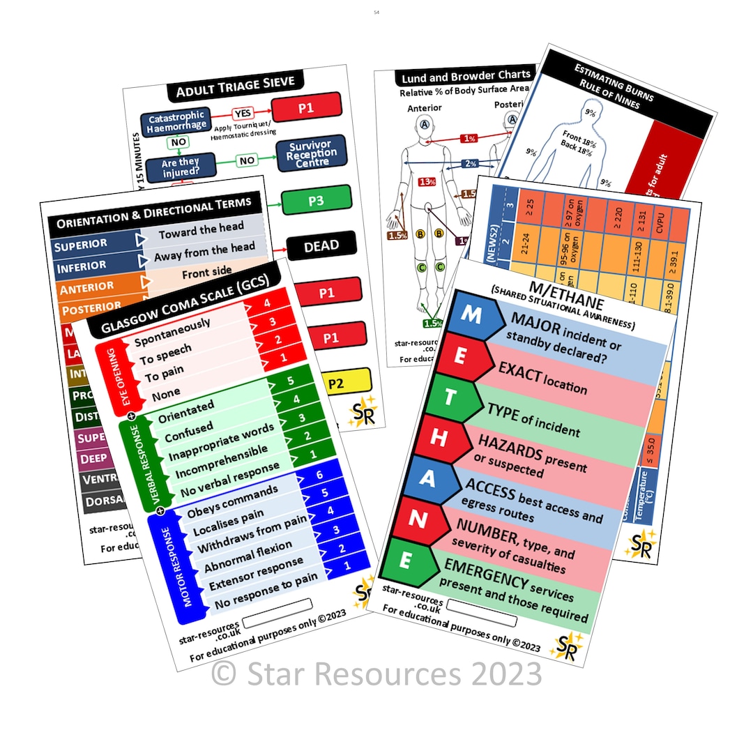 Set 1 Patient Assessment ID Badge Flash Cards Student - Etsy UK