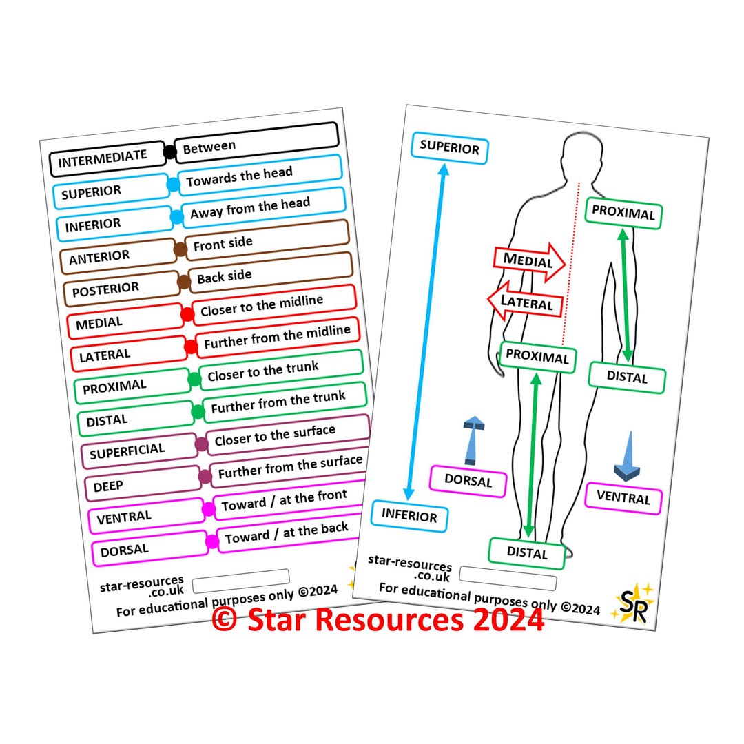 Orientation & Directional Terms ID Badge Flash Card Student Paramedics ...