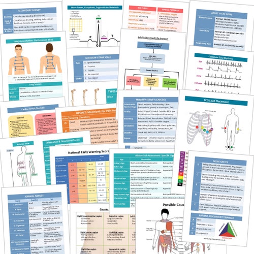 Paediatric Patient Assessment Revision Flash Cards - Etsy UK
